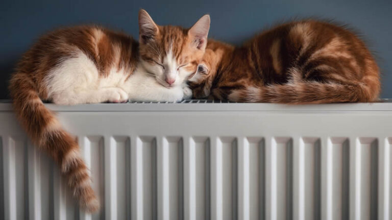 Bleed Your Radiators: A Simple Guide for a Warm Home